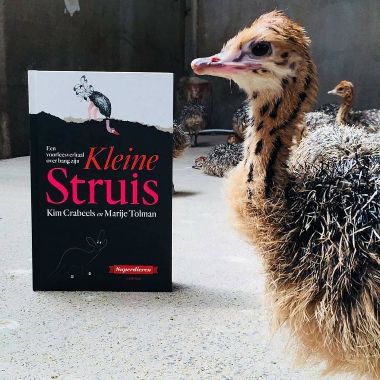 ‘kleine Struis’ is een White Raven – Kim Crabeels